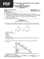 Triangles Case Study | PDF | Triangle | Geometric Shapes