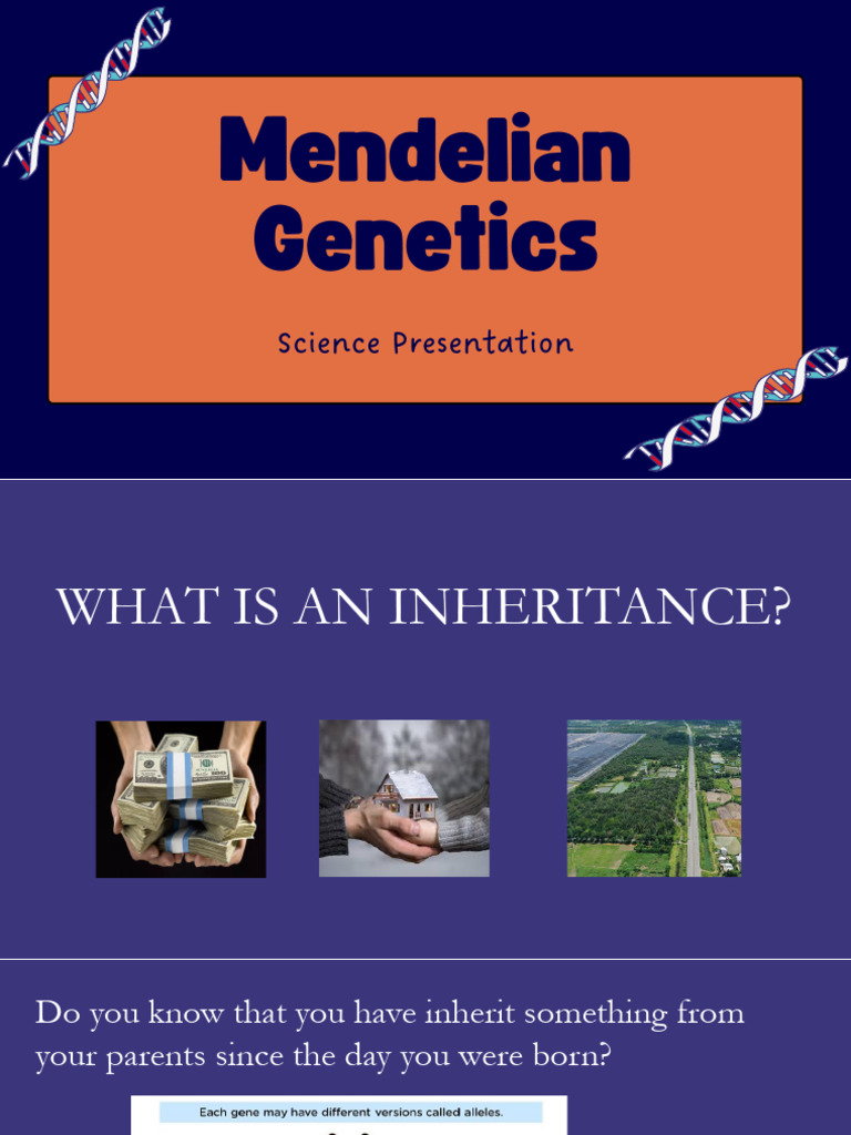 Genetics Intro To Genes 1 | PDF | Heredity | Genetics
