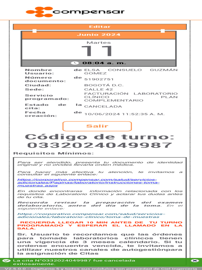 Servicio de Turno Virtual | PDF