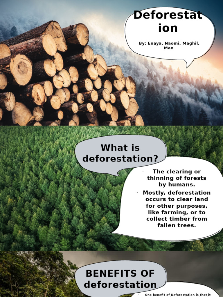 Deforestation Project Pdf