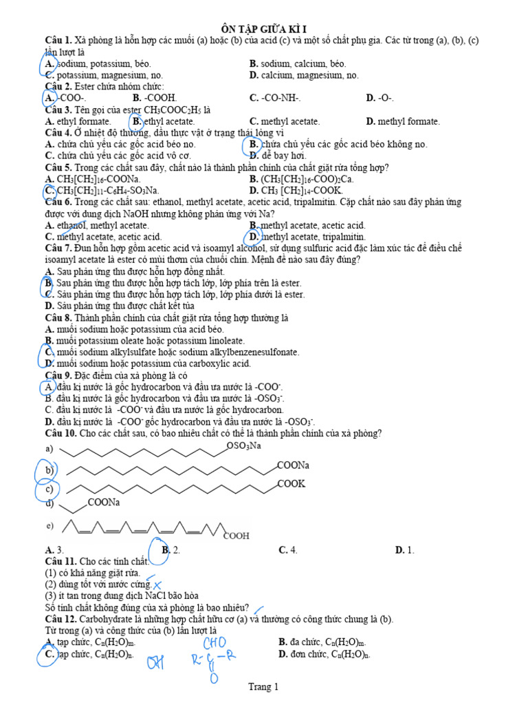 K12 - de Cuong Giua Ki 1 | PDF