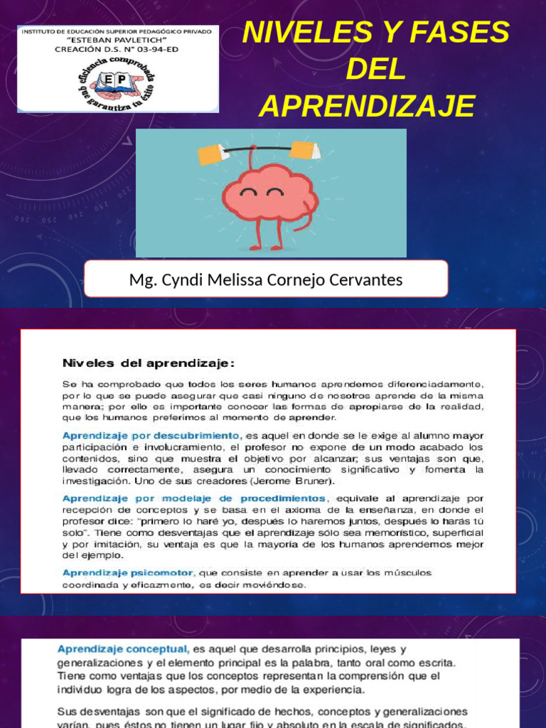 Niveles de Aprendizaje: Guía Práctica | PDF | Relaciones personales ...