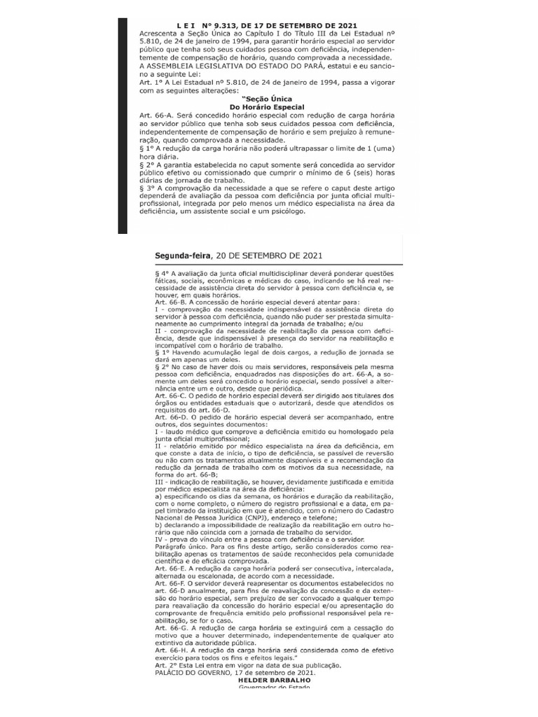 Lei-9313---2021_00673189_0_ | PDF