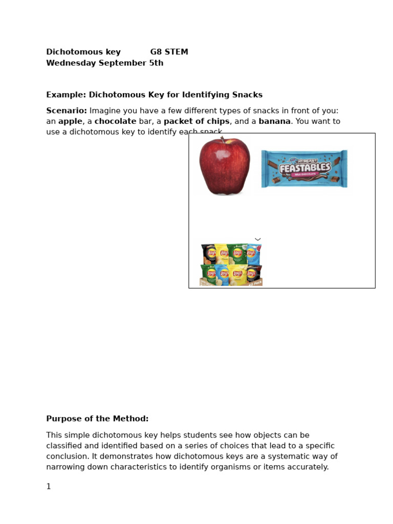1.2 Example Dichotomous Key G8 STEM Wednesday September 5th | PDF ...