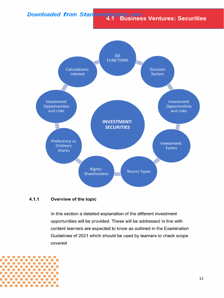 BS Business Ventures | PDF