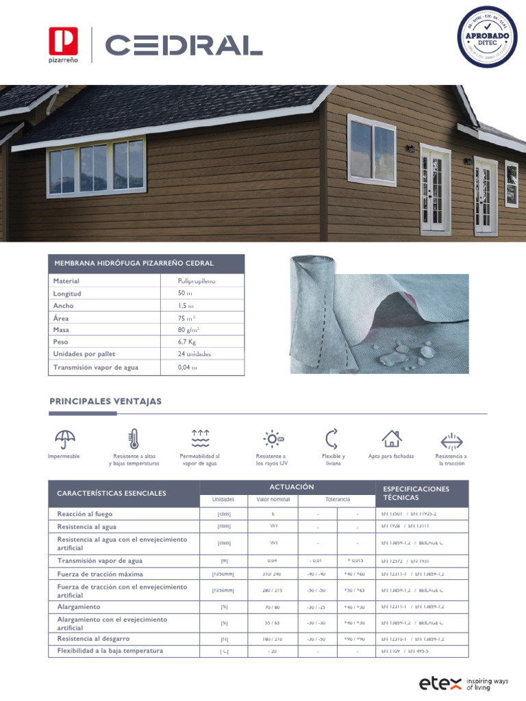 Ficha Membara Cedral - 12142022 | PDF