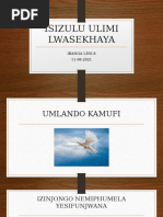 impi yabomdabu summary | PDF