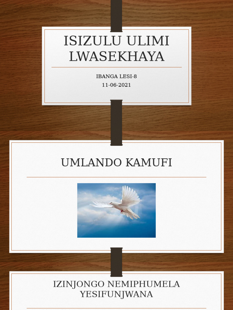 Umlando Kamufi 2021 | PDF | Social Science | Religion & Spirituality