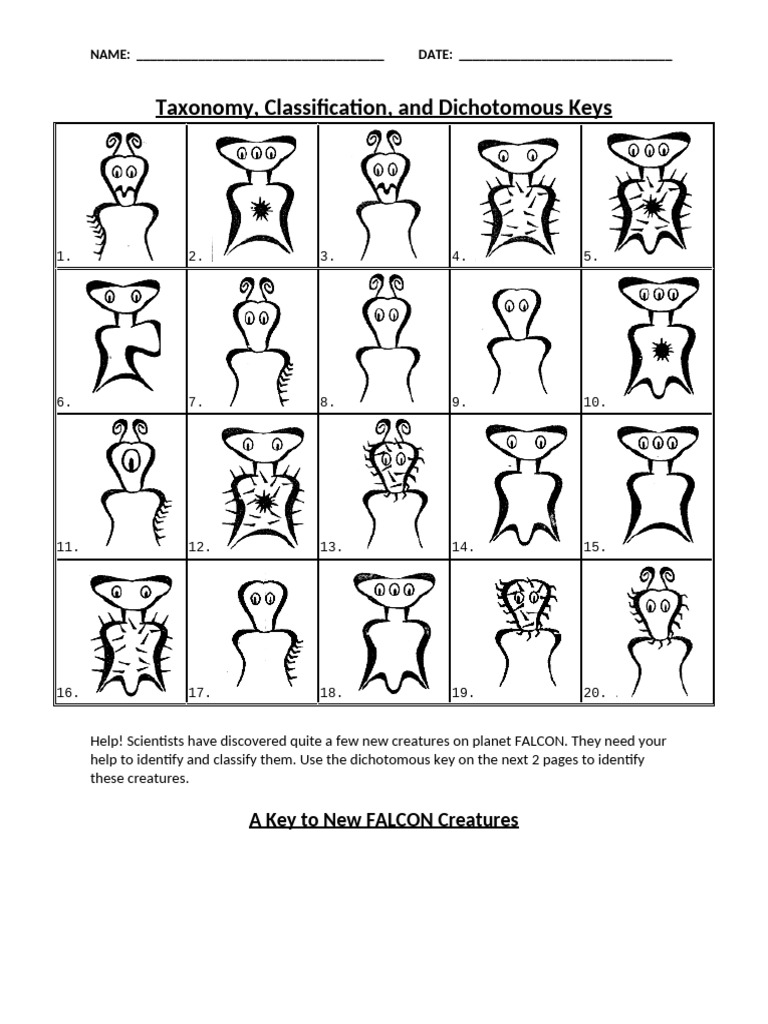 Activity 2 - Classifying Using A Dichotomous Key Updated | PDF