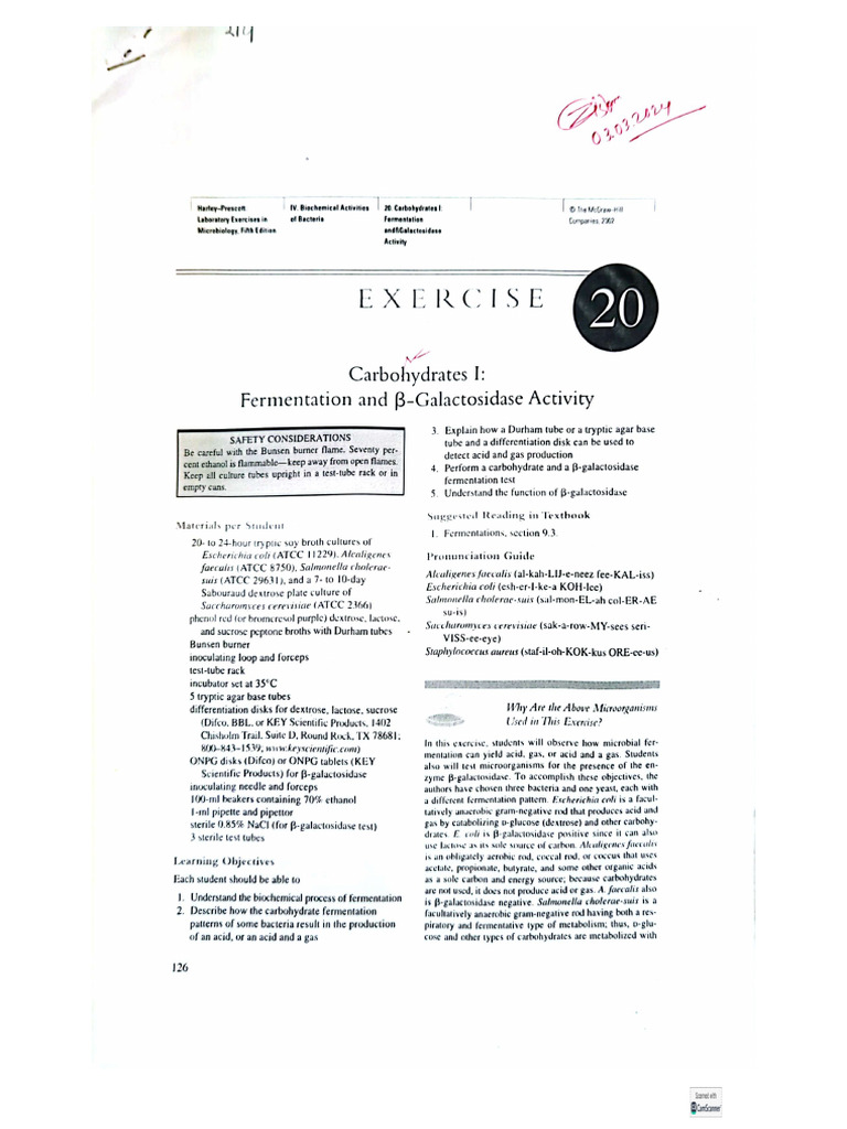 Metabolism Lab | PDF