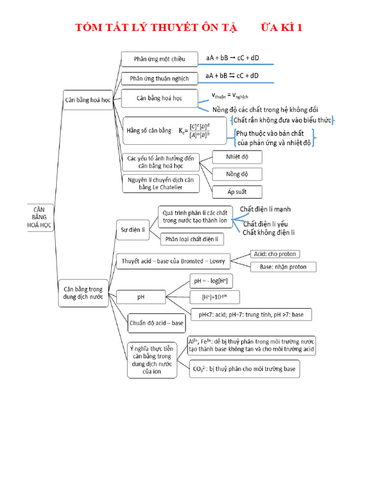Tóm Tắt Lý Thuyết Chương 1 K 11 Năm 24-25 | PDF