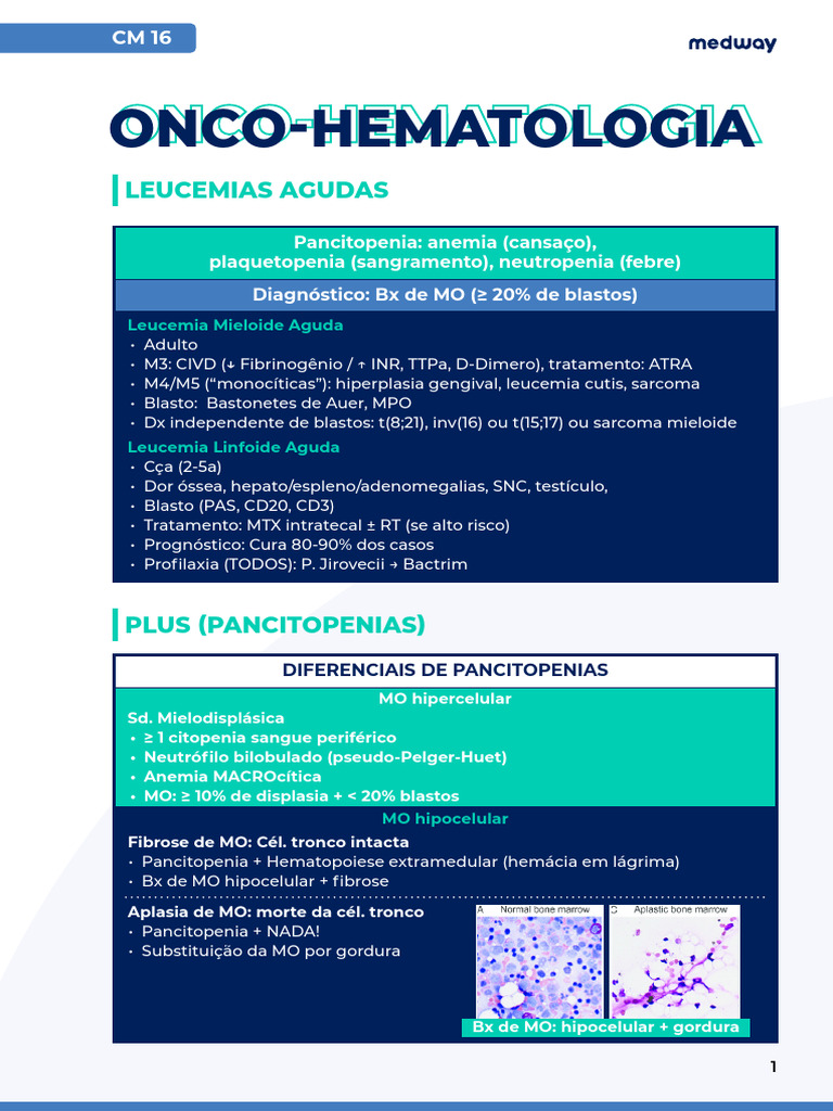 FichaResumo CM Onco-Hematologia | PDF | Leucemia | Anemia