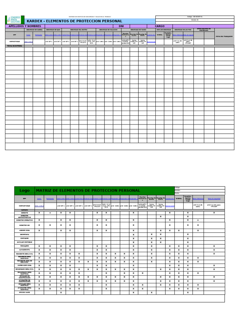 Matriz de EPP | PDF