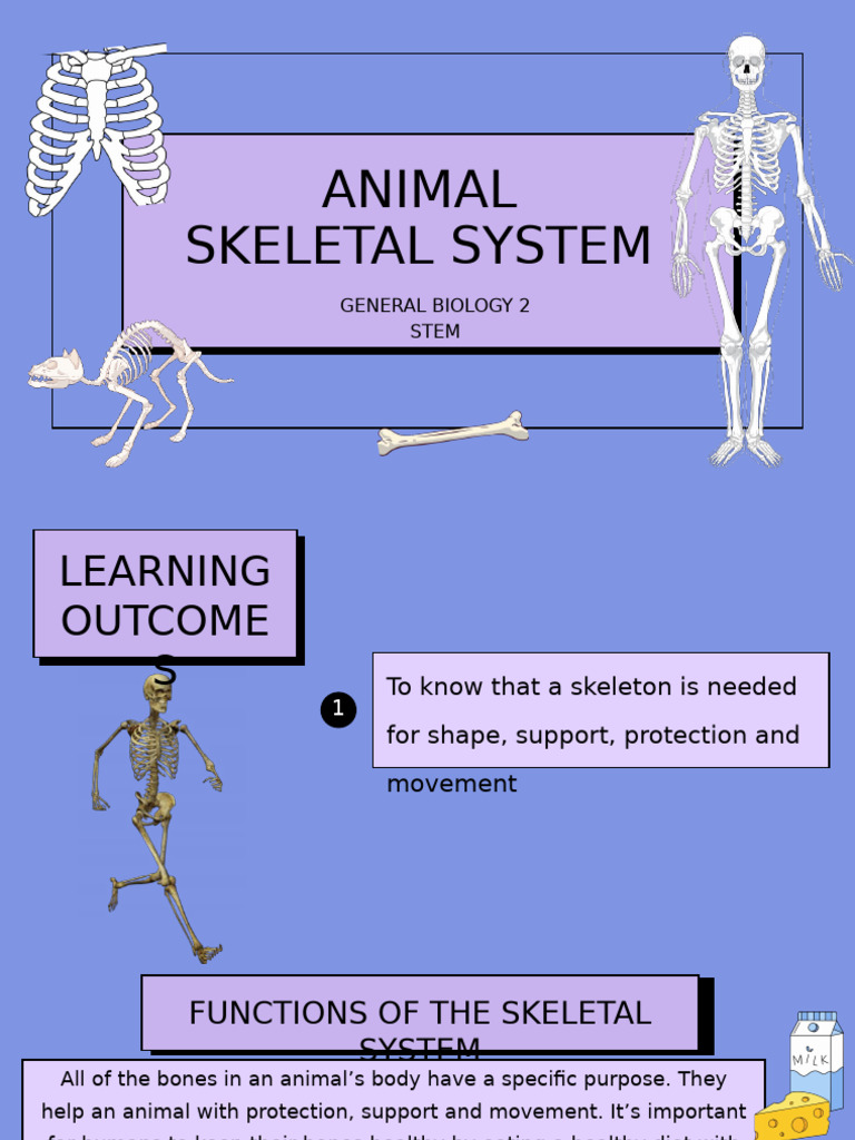 Animal Skeletal-System (Genbio2-Stem) | PDF | Skeleton | Bone