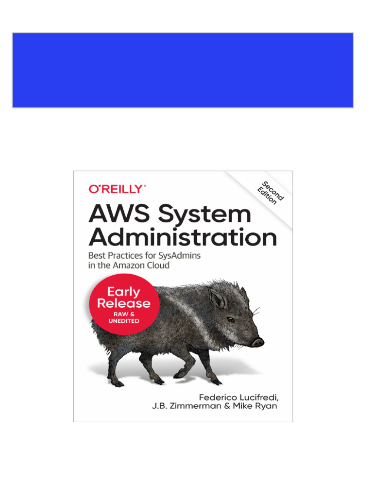 AWS System Administration, 2nd Edition (Second Early Release) Mike Ryan and Federico Lucifredi ...