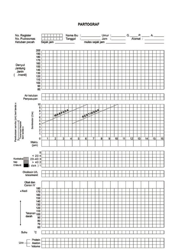 Partograf | PDF
