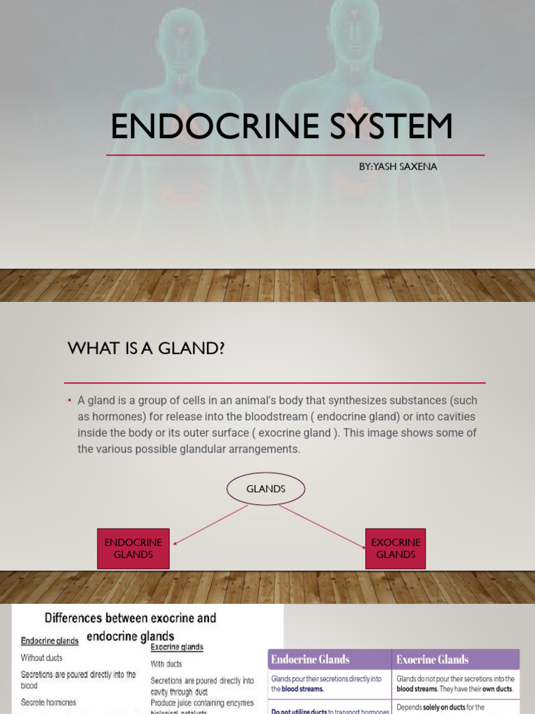 Endocrine System New Notes | PDF | Pituitary Gland | Endocrine System