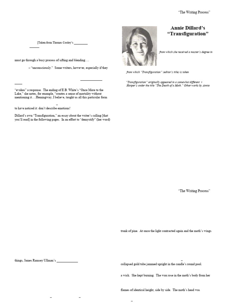 Intro Writing Process - Annie Dillard The Moth Essay and How and Why ...