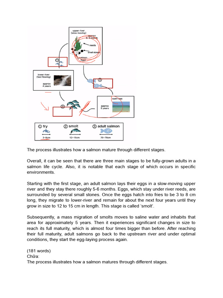 Natural Process | PDF | Home & Garden