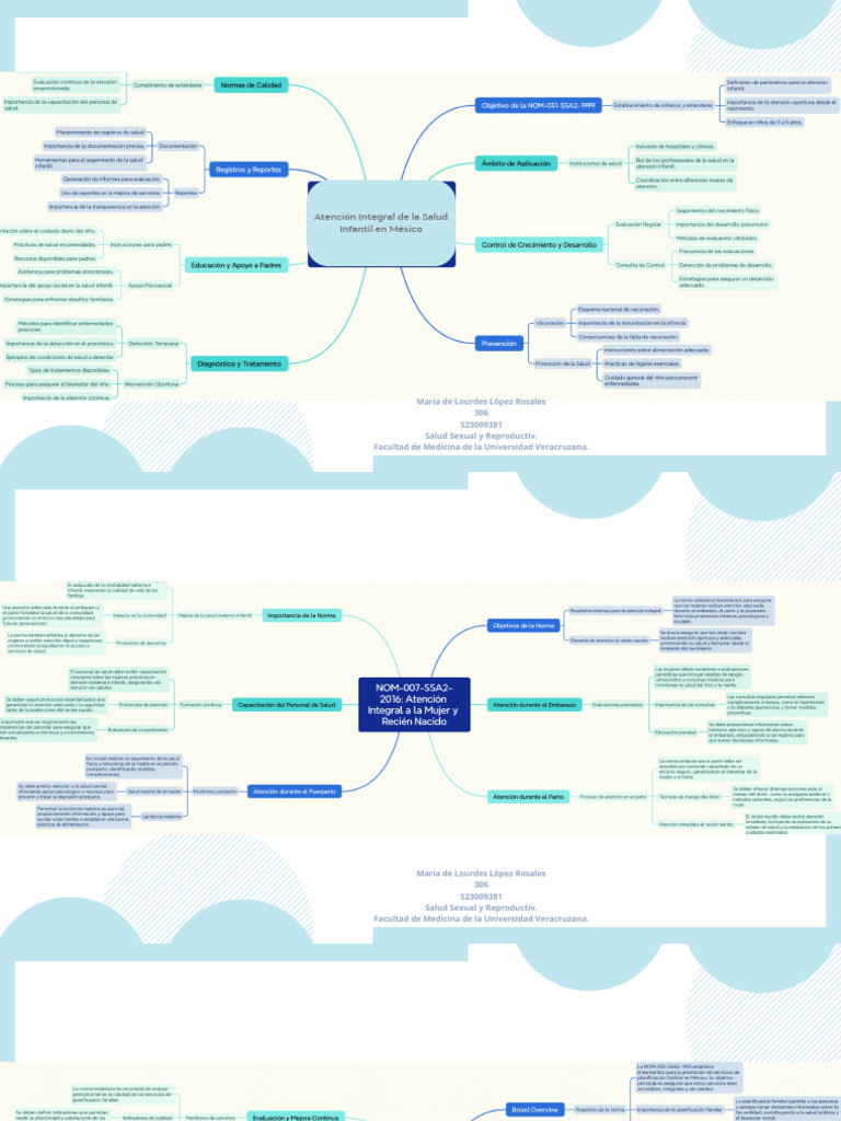Mapas Conceptuales Normas Oficiales | PDF