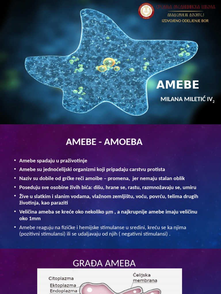 AMEBE | PDF