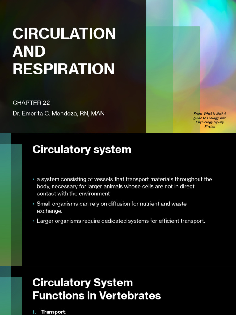 Chapter 22 - Circulation, Lymph, Respi | PDF | Heart | Artery