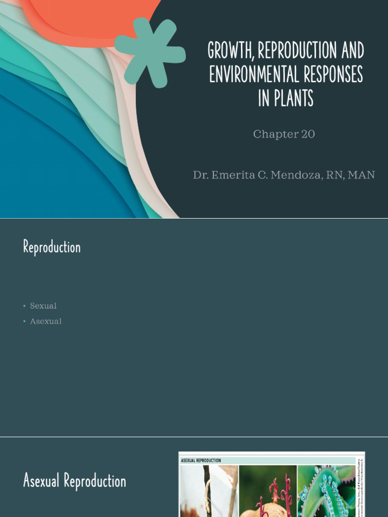 Plant Growth and Reproduction Insights | PDF | Science & Mathematics