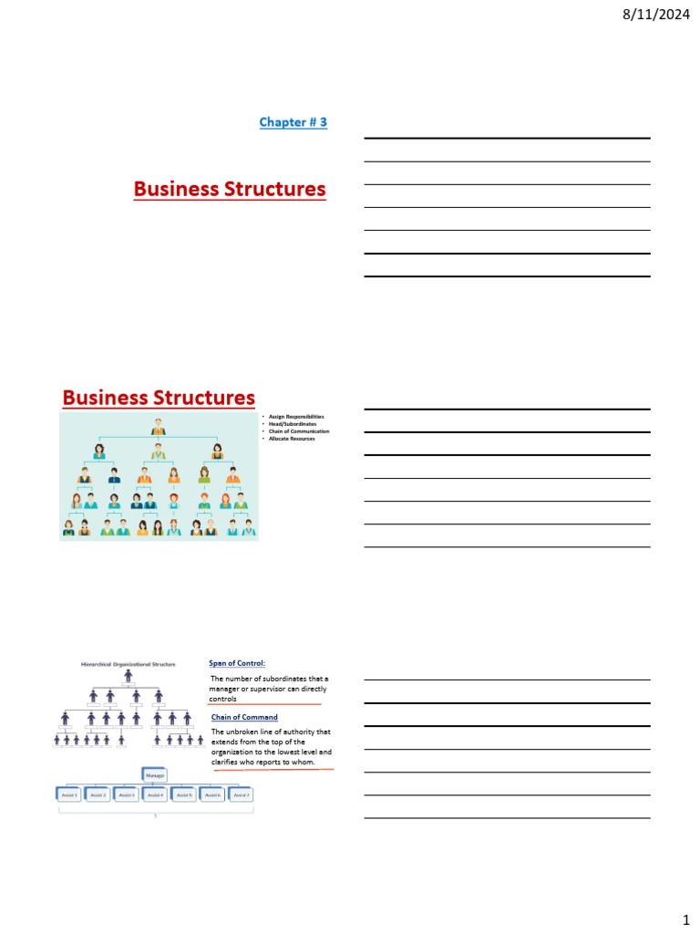 CH # 3 - Business Structures | PDF | Organizational Structure | Business Economics