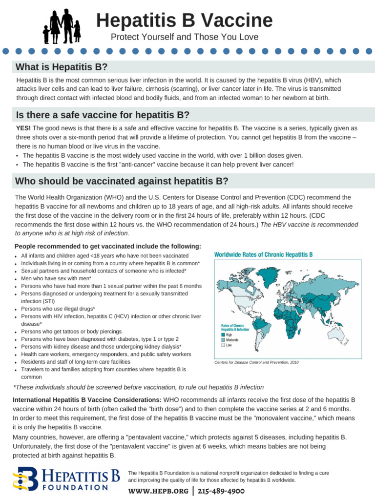 Hepatitis B Vaccine Fact Sheet Final | PDF | Hepatitis B | Hepatitis