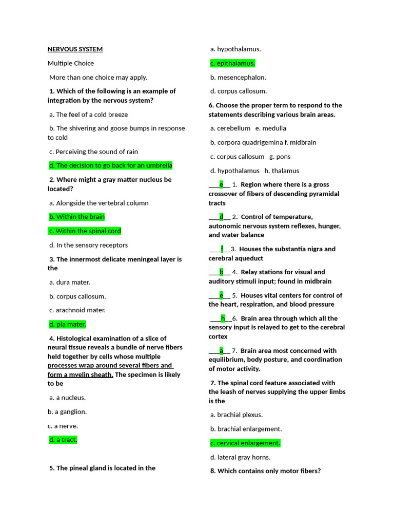 Anatomy and Physiology TEST With Answer Key | PDF | Vein | Endocrine System