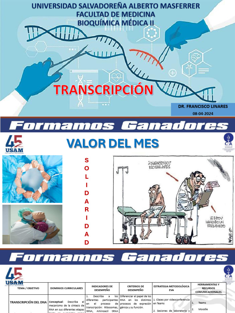 Clase Transcripcion 2024 | PDF | Rna | Messenger Rna