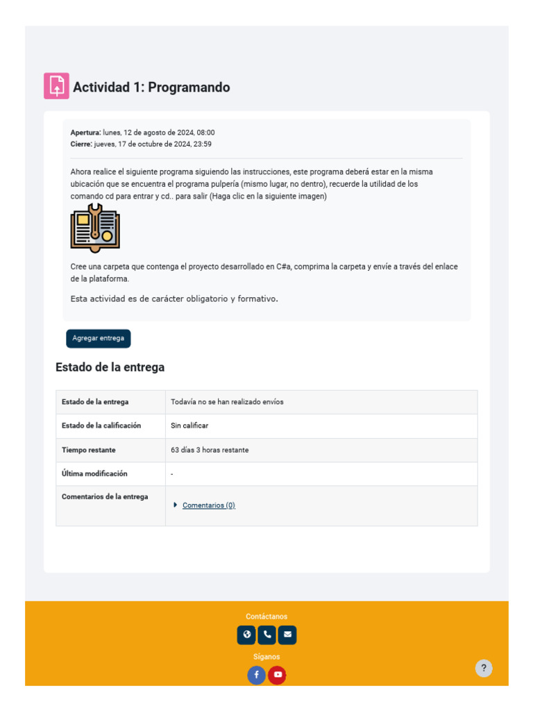 Actividad 1 - Programando | PDF