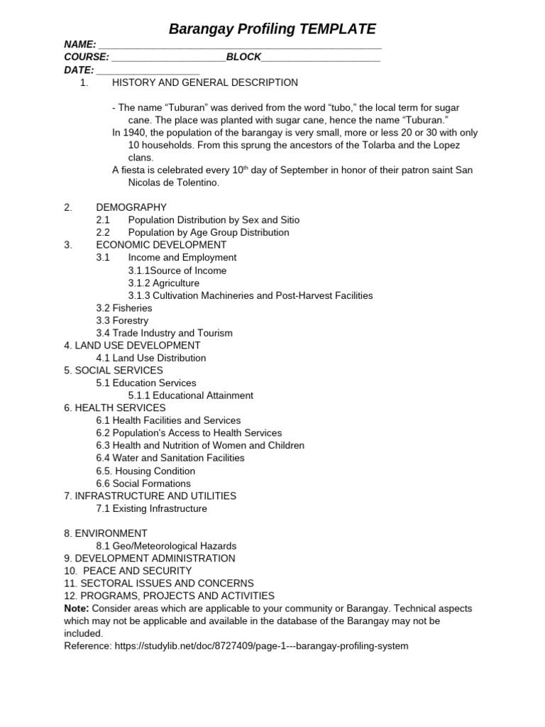 Barangay Profiling TEMPLATE | PDF | Science & Mathematics | Technology & Engineering