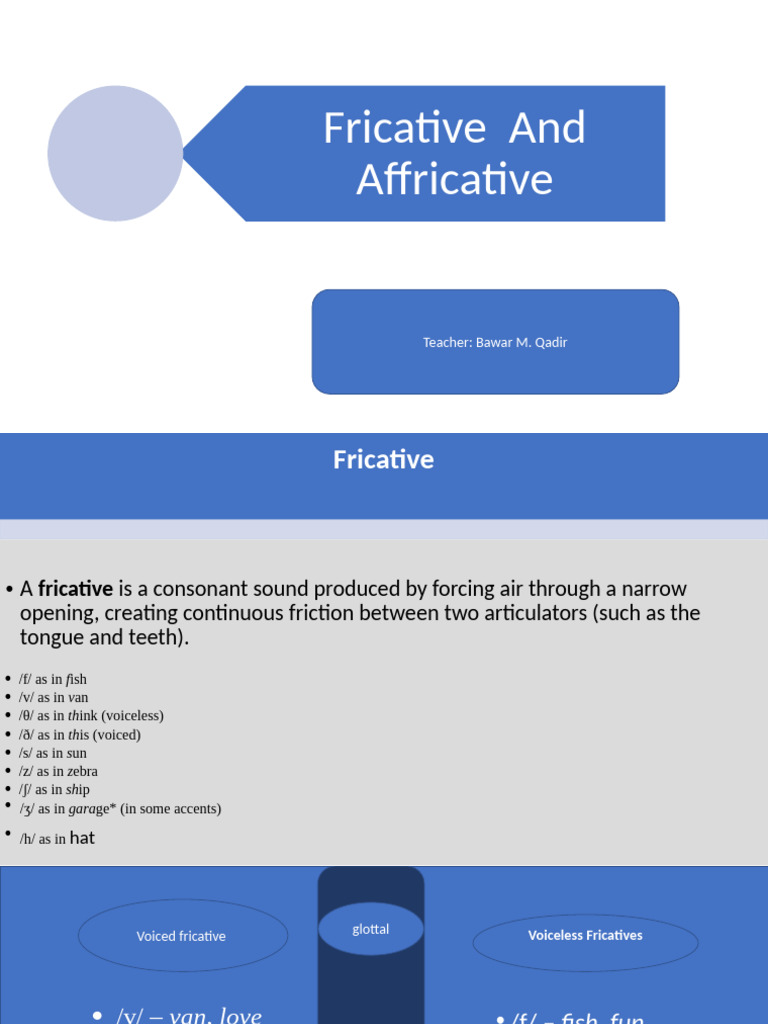 Fricative and Affricative | PDF | Phonetics | Human Voice