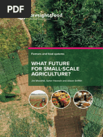 Temo Letlotlo Programme Guidelines | PDF | Loans | Agriculture