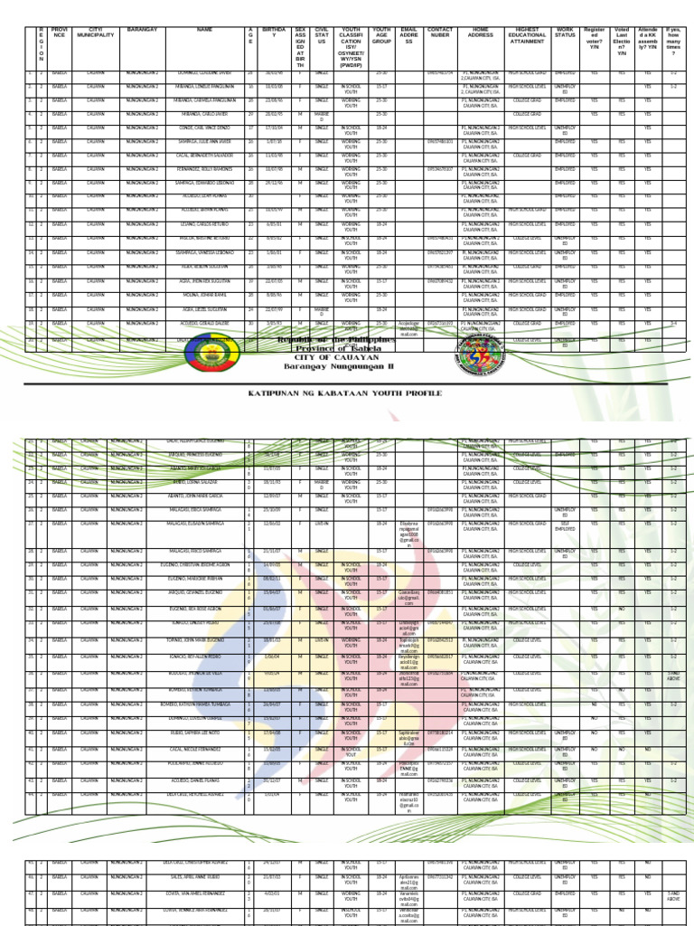 KK Profiling ANNEX 4 | PDF