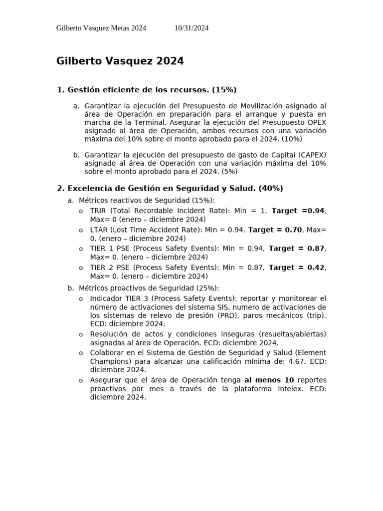 2024 Metas OL | PDF