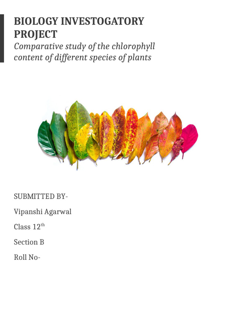 Biology Investogatory Project | PDF | Chlorophyll | Photosynthesis