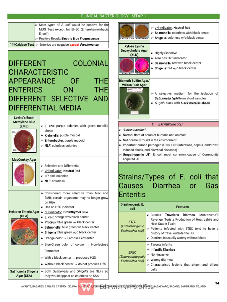 Salmonella Pullorum Identification Methods | PDF | Salmonella ...