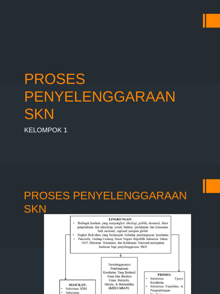Proses Penyelenggaraan SKN | PDF | Bisnis