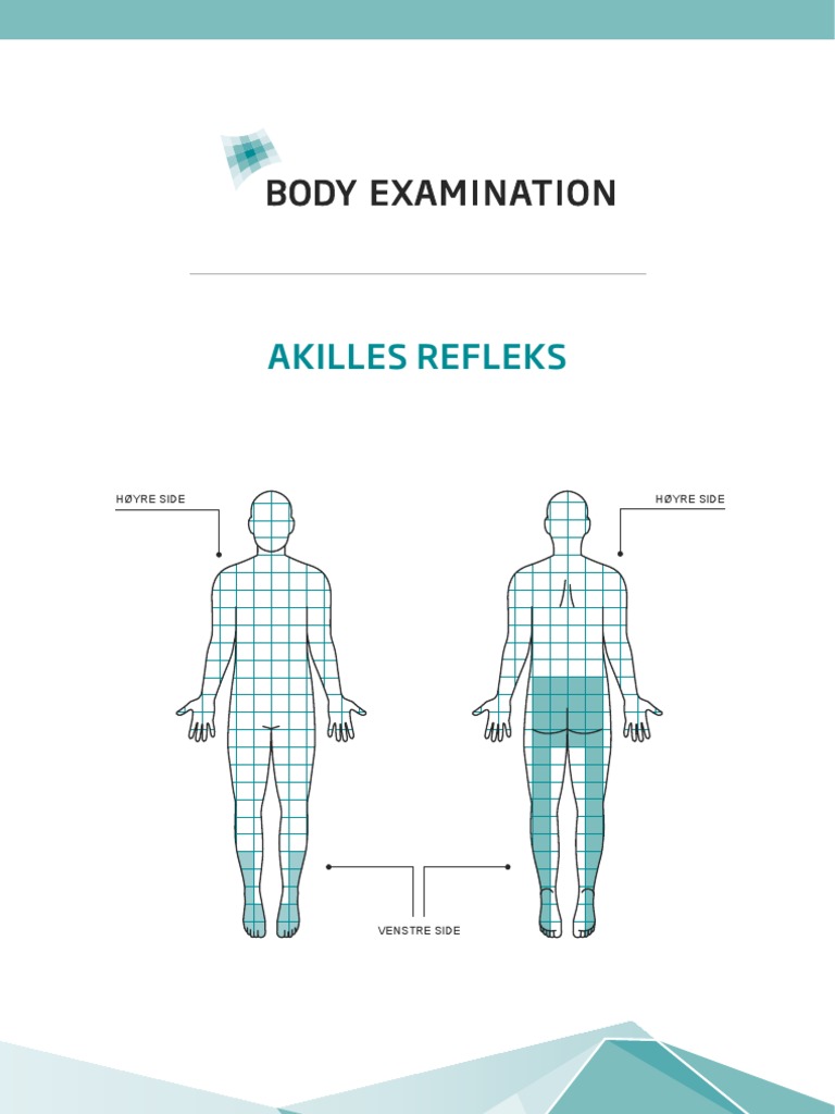 Akilles Refleks | PDF