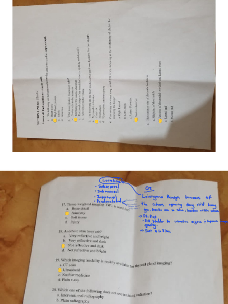 LBO Paper - 240418 - 160332 | PDF