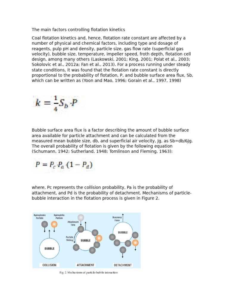 Flotation Kinetics and Bubble Dynamics | PDF | Gases | Chemical Kinetics