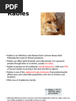 Rabies Safety for Site Workers | PDF | Rabies | Health Care