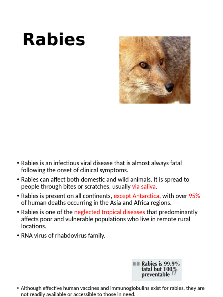 Rabies 1 | PDF | Rabies | Medical Specialties