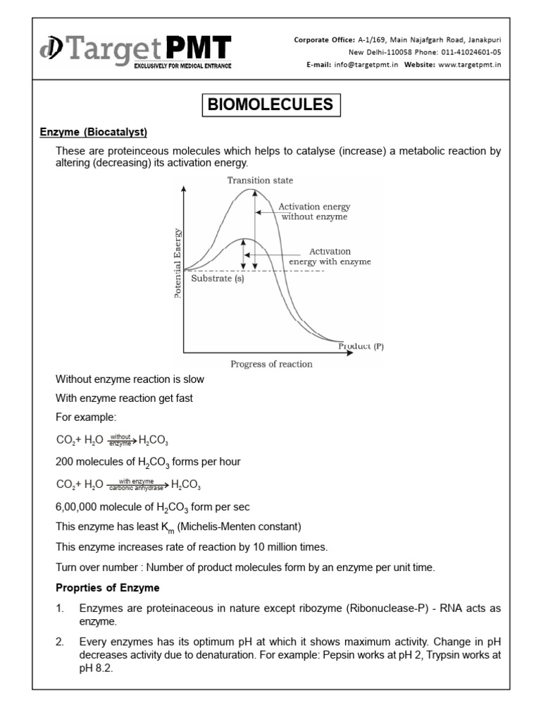 L21 Notes Biomolecules | PDF | Cofactor (Biochemistry) | Enzyme