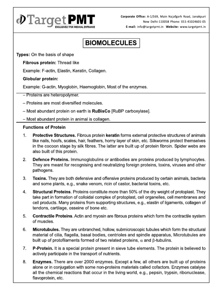 L16 Notes Biomolecules | PDF