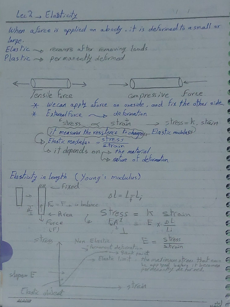 Elacticity Summary | PDF
