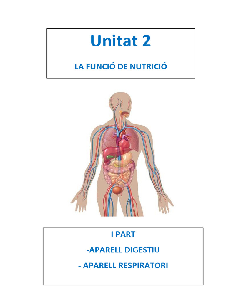 Unitat 2 - Digestiu I Respiratori | PDF