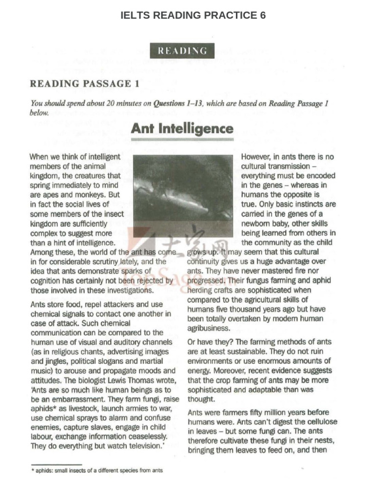 IELTS Reading Sample 6 | PDF
